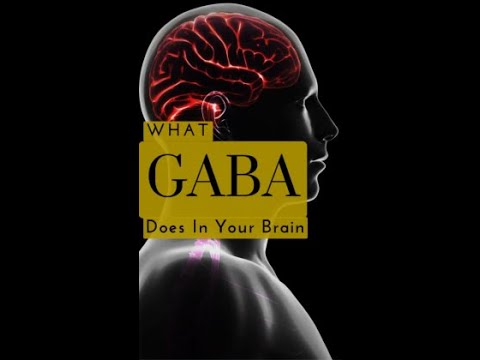 GABA Makes New Brain Cells