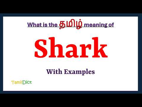 Shark Meaning in Tamil | Shark in Tamil | Shark in Tamil Dictionary |