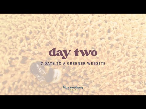 Day 2 - Audit Your Website's Images - 7 Days to a Greener Website Challenge