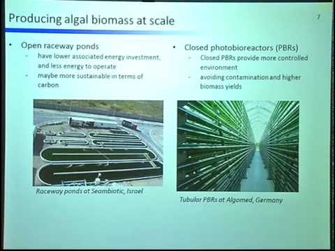 ALISON G SMITH. How vitamins might be good for algal bioenergy.