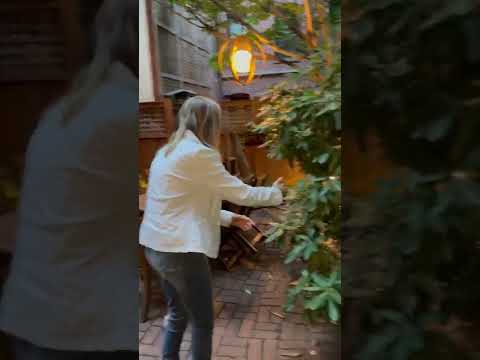 How to prune a rhododendron way back (I mean WAY back)