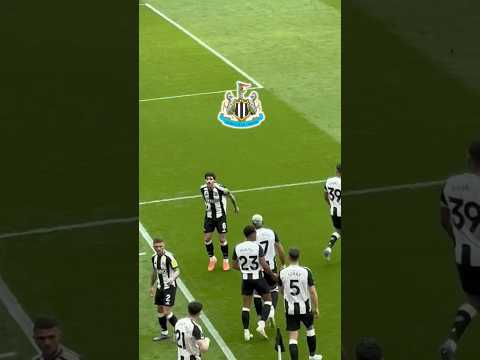 NUFC Celebrate Tonali Goal. Sunday 13th April 2025 #nufc #newcastleunited #newcastle #premierleague