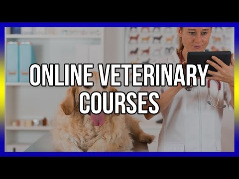 Online Veterinary Courses - Free CE Below