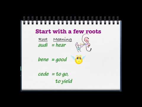 Root Practice ©2009 Diane Frymire