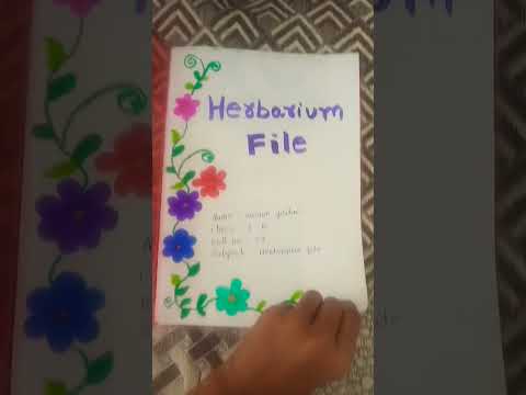 Herbarium file of different leaves. πππ#shorts#viral_video