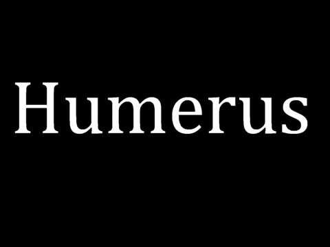 How to pronounce Humerus