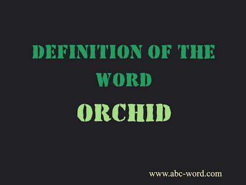 Definition of the word "Orchid"