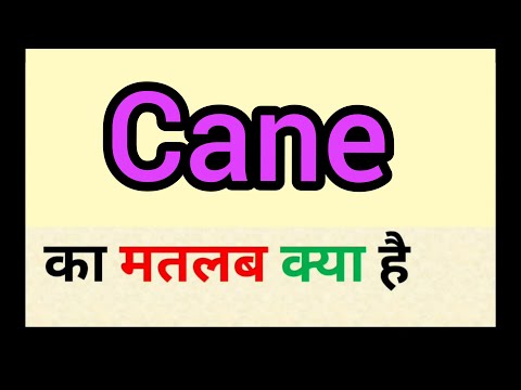 Cane meaning in hindi || cane ka matlab kya hota hai || word meaning english to hindi