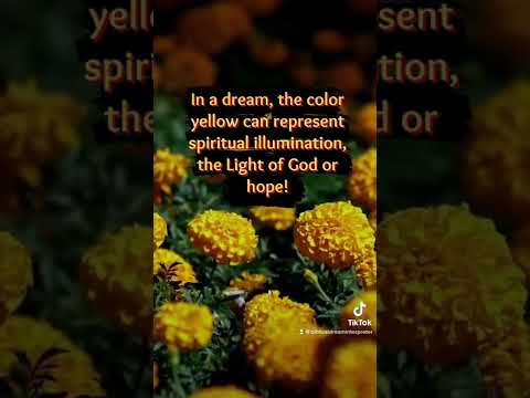 The Meaning of Yellow in a Dream!