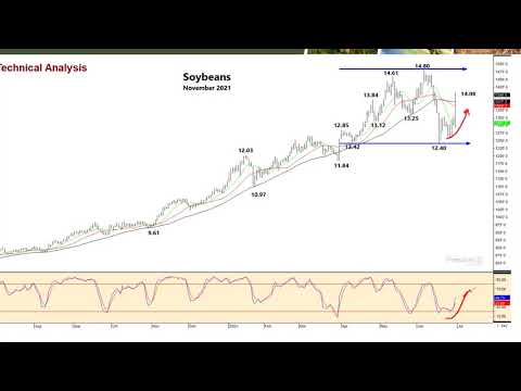 November Soybean Chart | Heartland Farm Partners