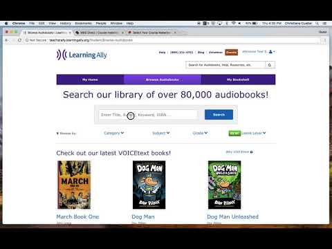 Learning Ally Introduction