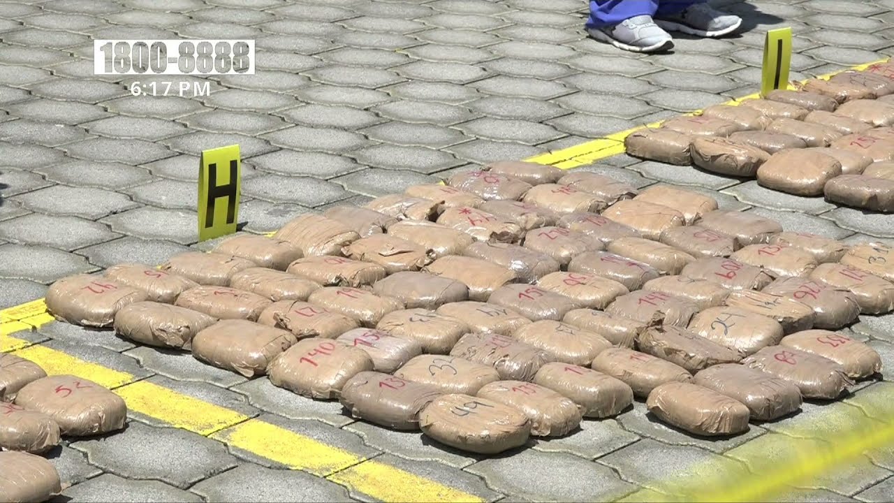 Incautan más de 140 kilos de cocaína y 511 libras de marihuana en Nueva Segovia - Nicaragua