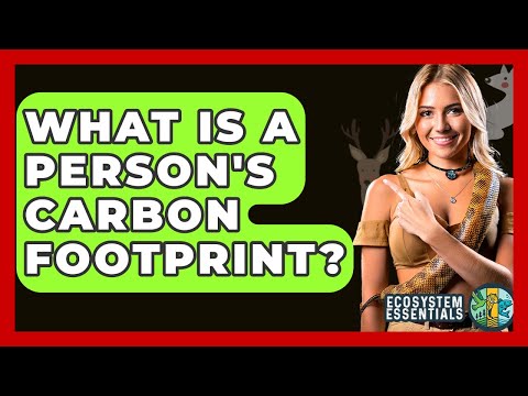 What Is A Person's Carbon Footprint? - Ecosystem Essentials
