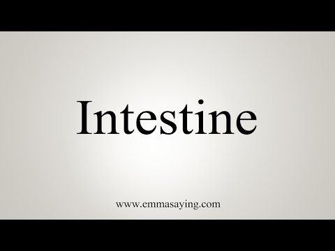 How To Say Intestine