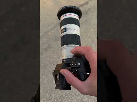 Panasonic Lumix GH6 + Canon 70-200mm F4.0 zoom lens
