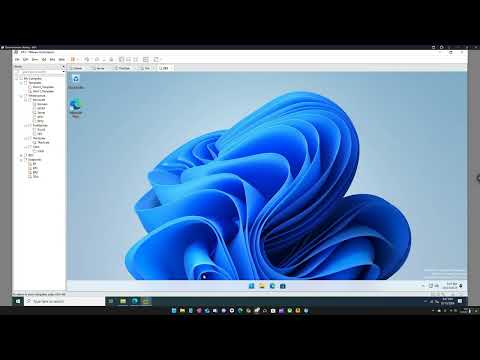 Citrix Workspace App - Update Policy