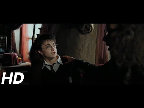 Professor Trelawney's Prophecy | Harry Potter and the Prisoner of Azkaban