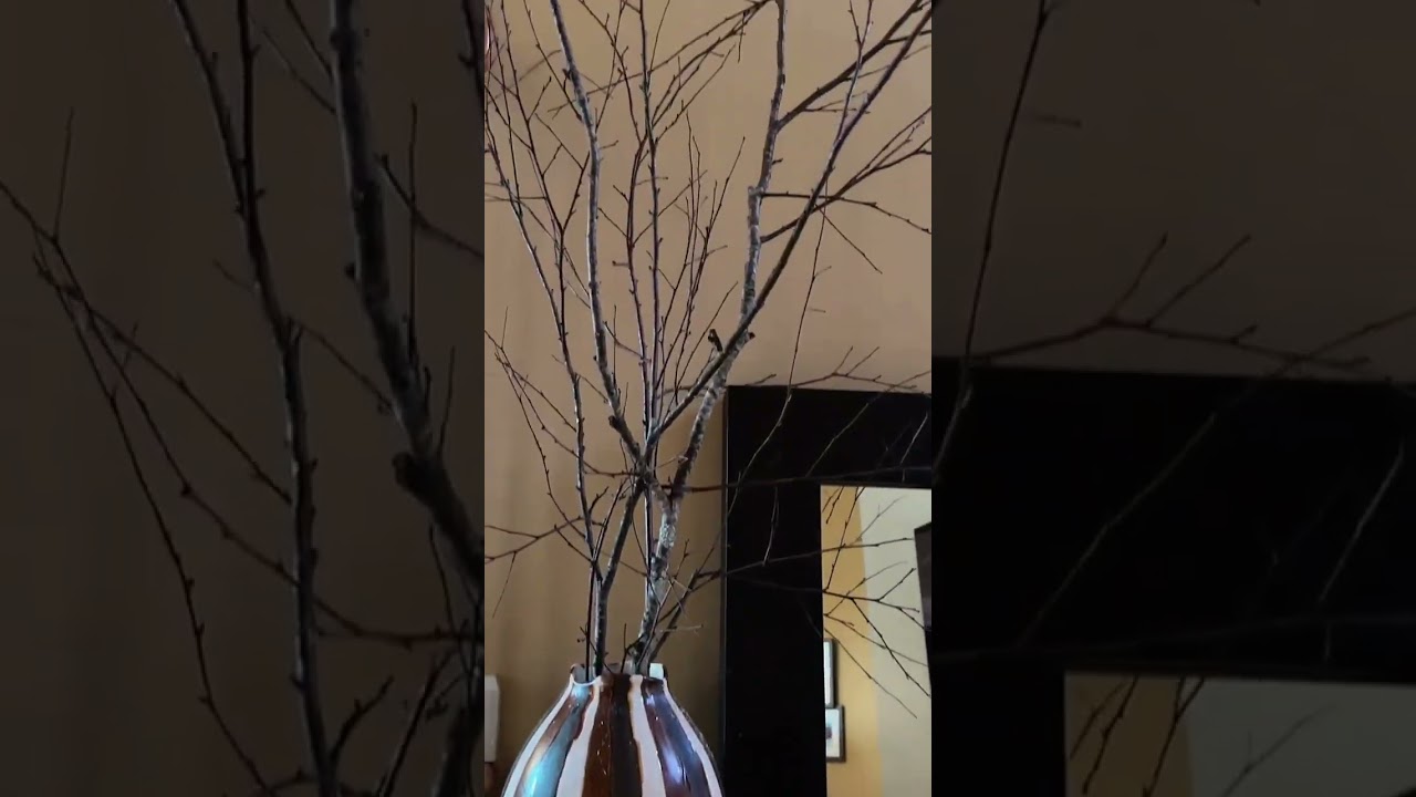 Budget Home Decor with Tree Branches #homedecor #homedecoration #budgethomedecor #budgetdecor
