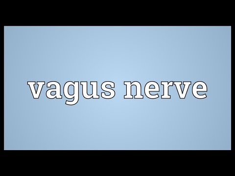 Vagus nerve Meaning