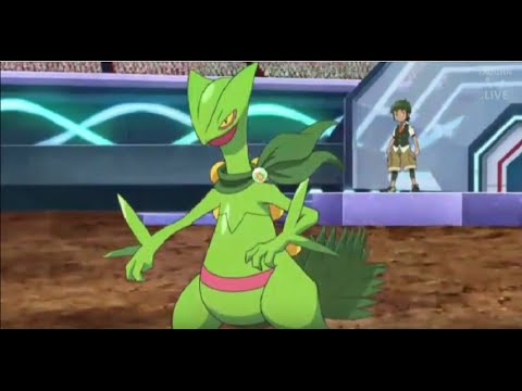Kalos League XYZ Episode 33 | Pokemon | Ash VS Astrid , Sawyer VS Tierno | #100 / Sceptile Z move