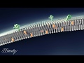 Health Cartoon About The Plasma Membrane Watch HD Mp4 Video Download Free