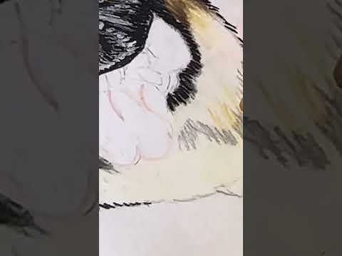 Dessin réaliste de berger allemand chien 🐕 #shorts