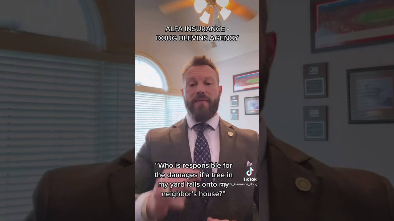 “Who is responsible for the damages if a tree in my yard falls onto my neighbor’s house?”