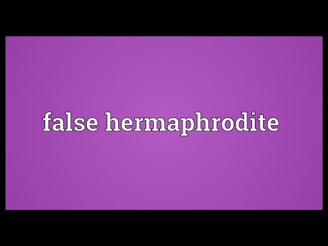 False hermaphrodite Meaning