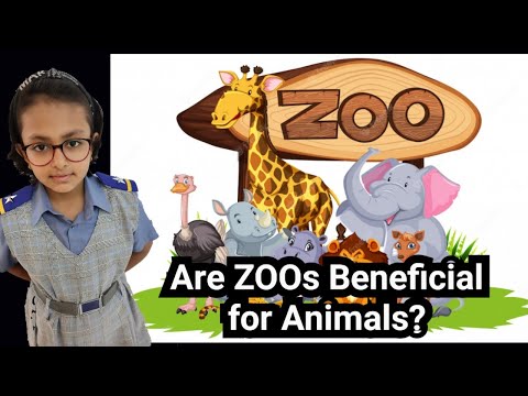 Are ZOOs Beneficial for Animals? / Debate /