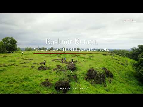 Kashmir Kunnu by Crietor Group.