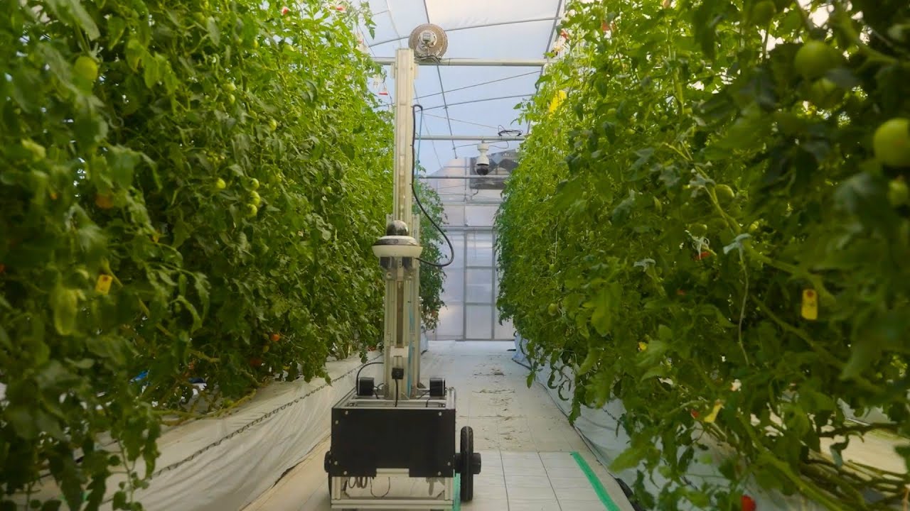 Private 5G-powered smart farming (Japanese Subtitle)