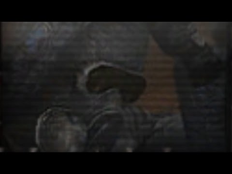 Steam Community :: Video :: S.T.A.L.K.E.R mods gameplay in Nutshell