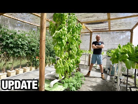 The Vertical Hydroponic System Update + Much More