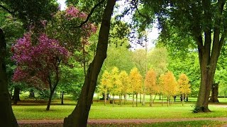 3 Best Parks in Cardiff, UK - Expert Recommendations