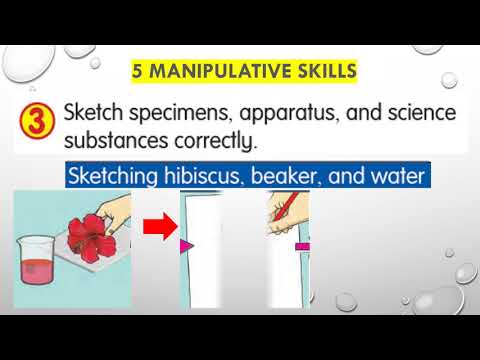 Manipulative Skills Year 2