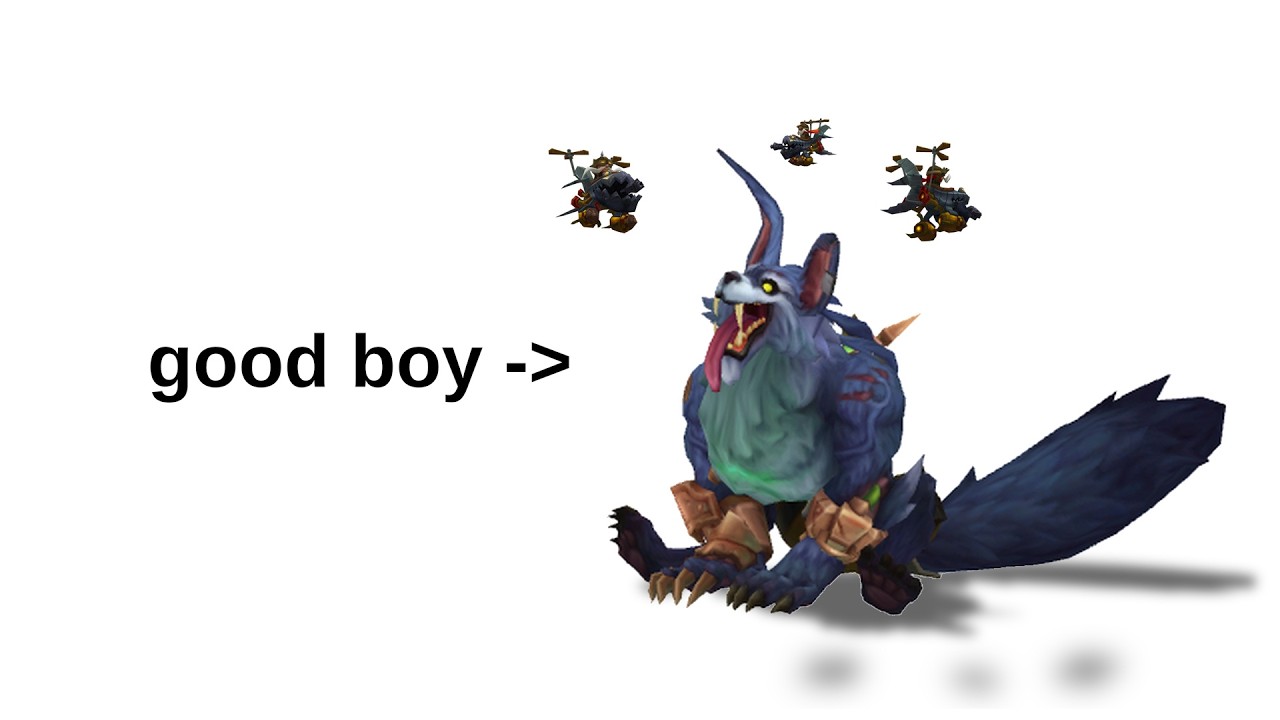 warwick support guide