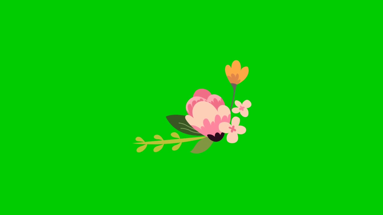 Flowers in bloom greenscreen (4)