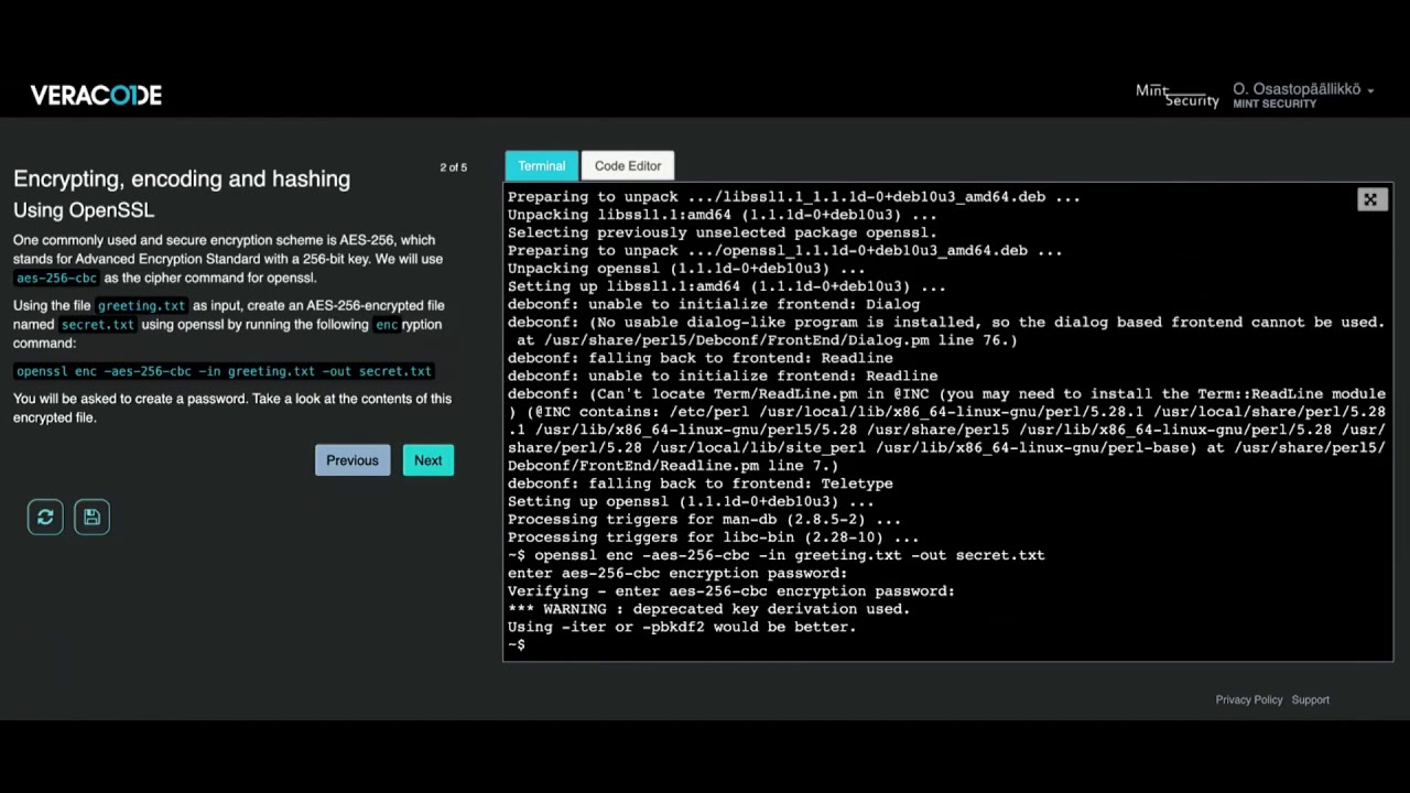 Veracode Security Labs demo