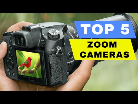 Top 5 Best Zoom Camera 2025 Review - Best Compact Superzoom Bridge Camera - Budget Ultra Zoom Camera