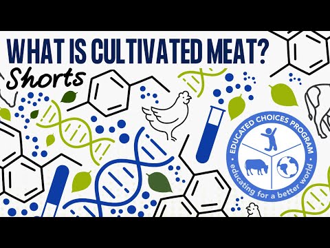 What Is Cultivated Meat? Sneak Peek | ECP Shorts