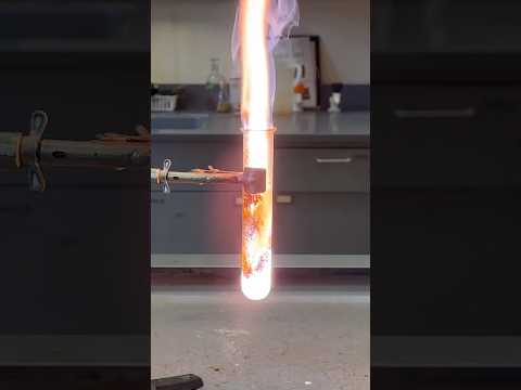 Determining calories in food by burning it
