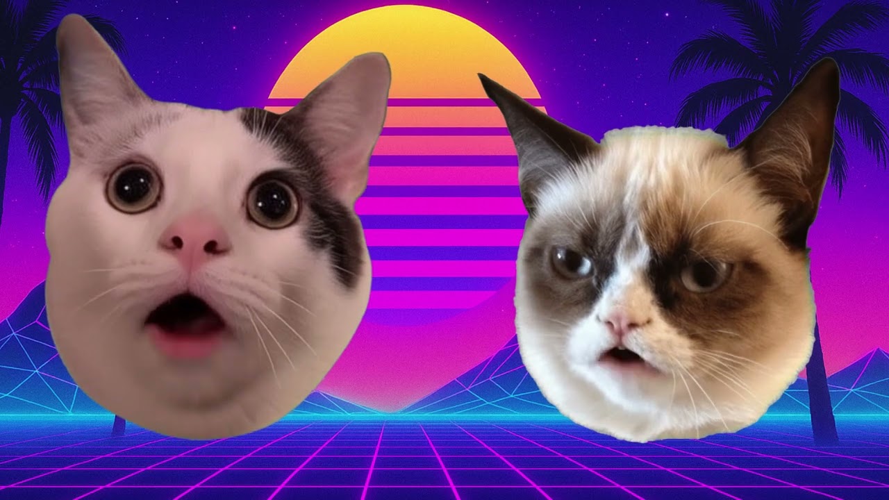 Sigma Boy - Cat Meme Cover