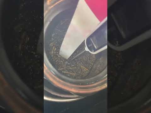 Making thc vape juice 👌68g of bottoms 50/50 vg pg. #cannabisheals #cannabisdaily #vape
