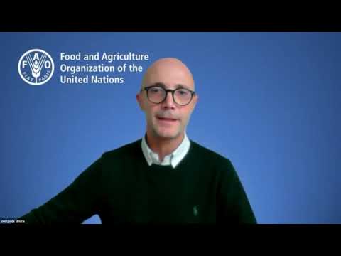 Earth Observation Data for Agricultural Statistics – Joint FAO and Global Network Webinar