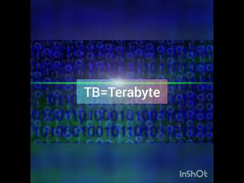 what come after Terabyte||#shorts