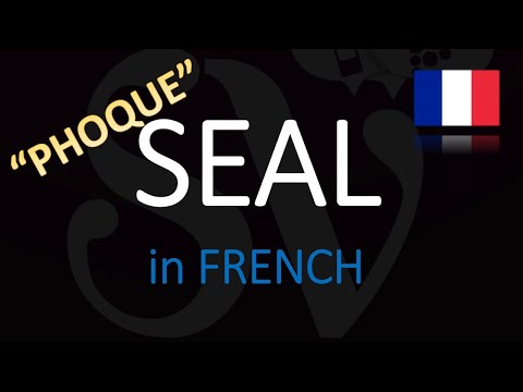 How do you say seal (PHOQUE) in French? (Siri Tik Tok Meme Explained)