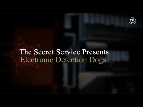 These Dogs Can Hunt…for Electronics - Inside the Electronic Detection Dog Program