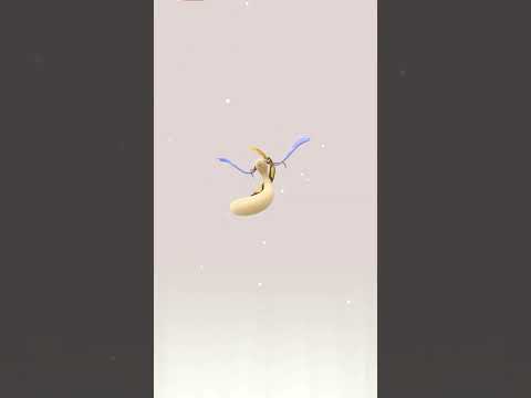 SHINY ugly Feebas evolve to beautiful Milotic #pokemongo #shinypokemon
