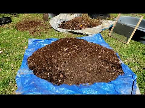 Earth Machine compost bin 2 years later