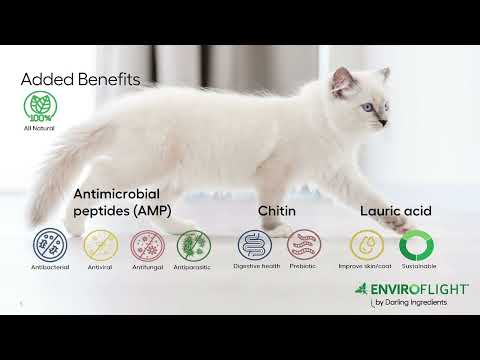 BSFL-Derived Ingredients in Pet Food: Nutritional Benefits and Sustainability Impact